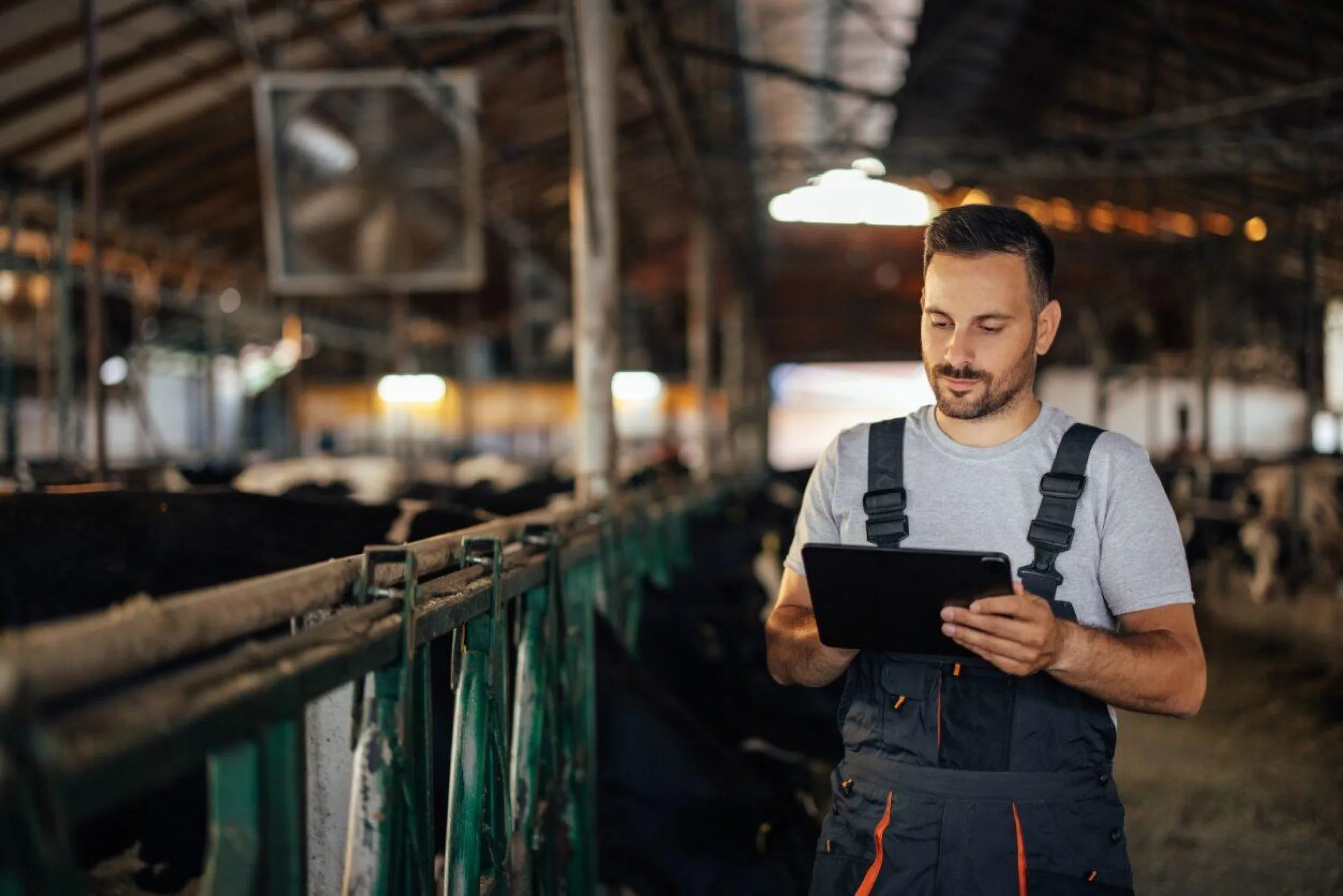 Making data more accessible